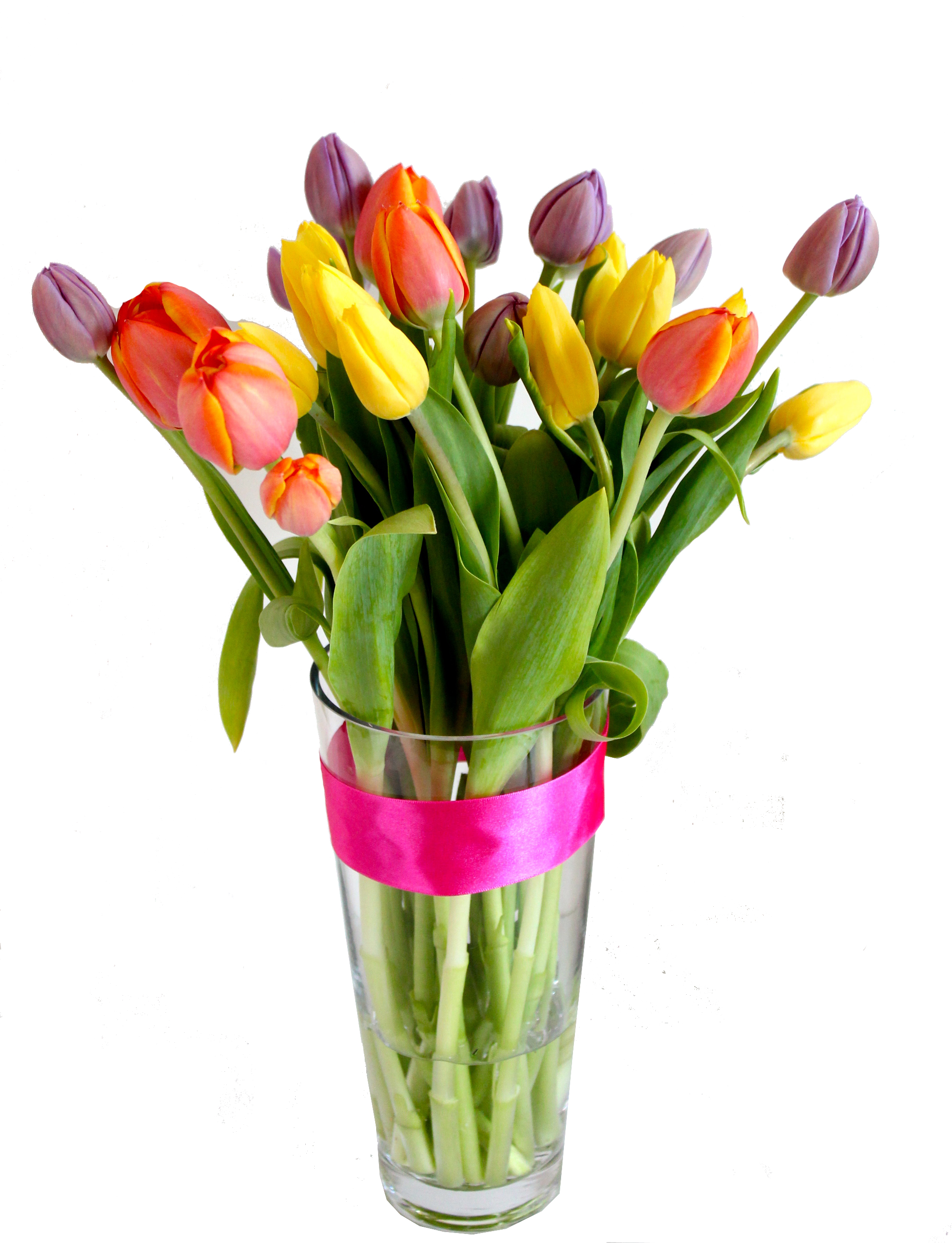 Tulips In Vase